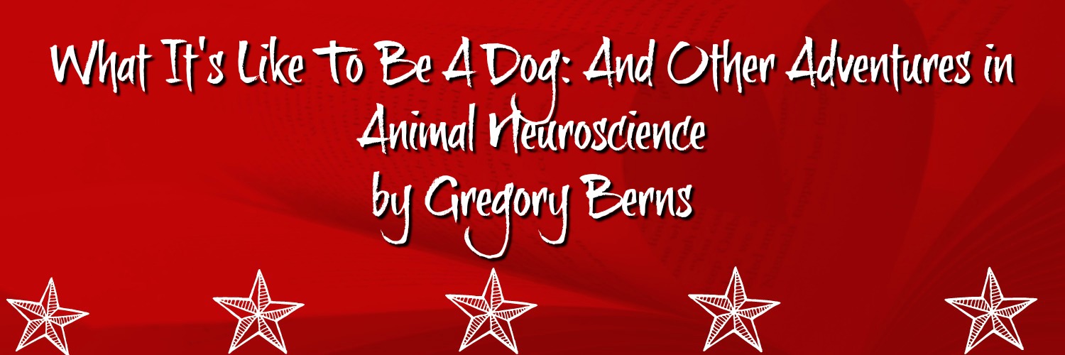 Review: What It’s Like to Be a Dog by Gregory Berns – The Most Sublime